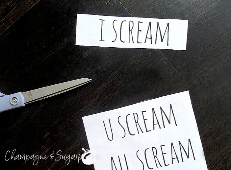 I Scream, U Scream, DIY Ice Cream Bowls for Summer Holidays - Champagne ...