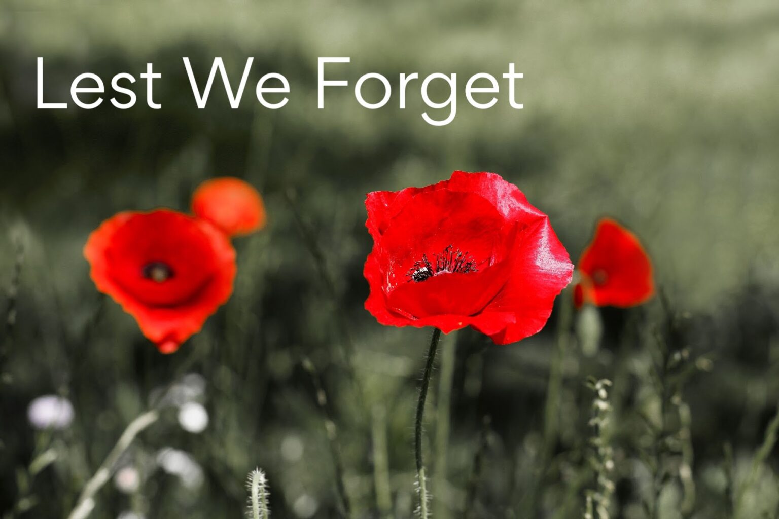 Popsicle Stick Poppy Kids Craft - Champagne and Sugarplums