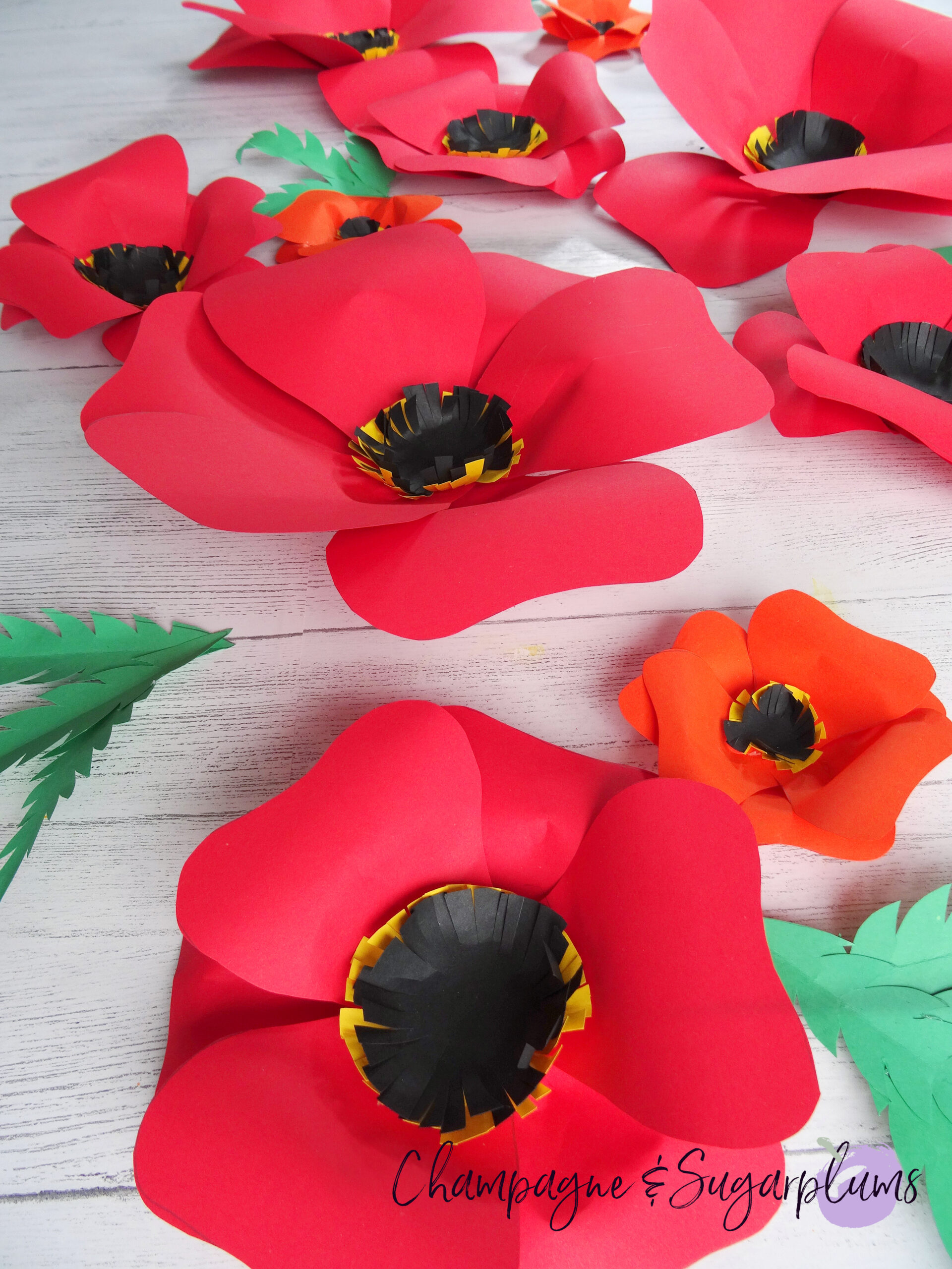 Paper Poppy Wall Decor with Free Template - Champagne and Sugarplums