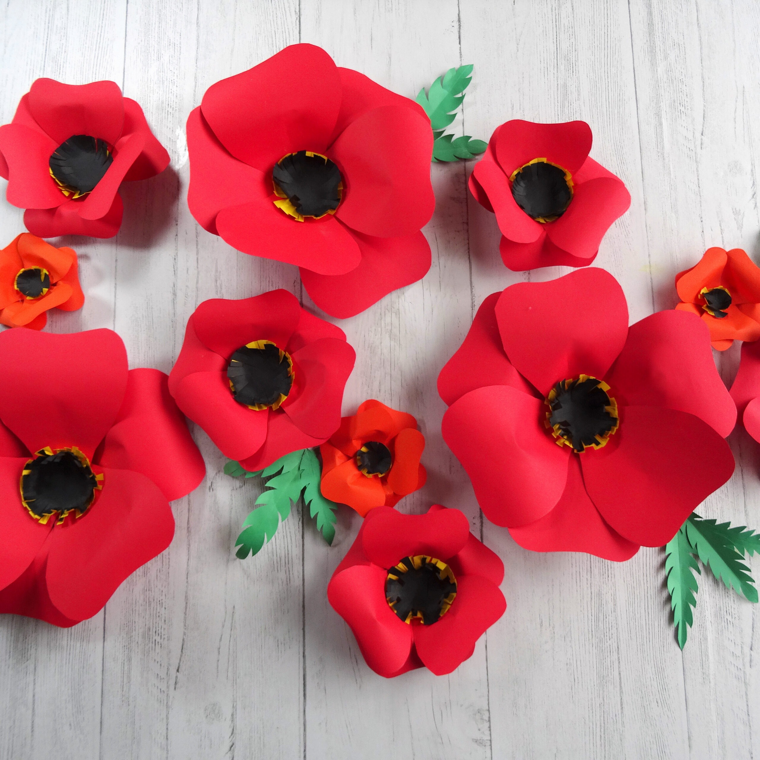Paper Poppy Wall Decor with Free Template - Champagne and Sugarplums