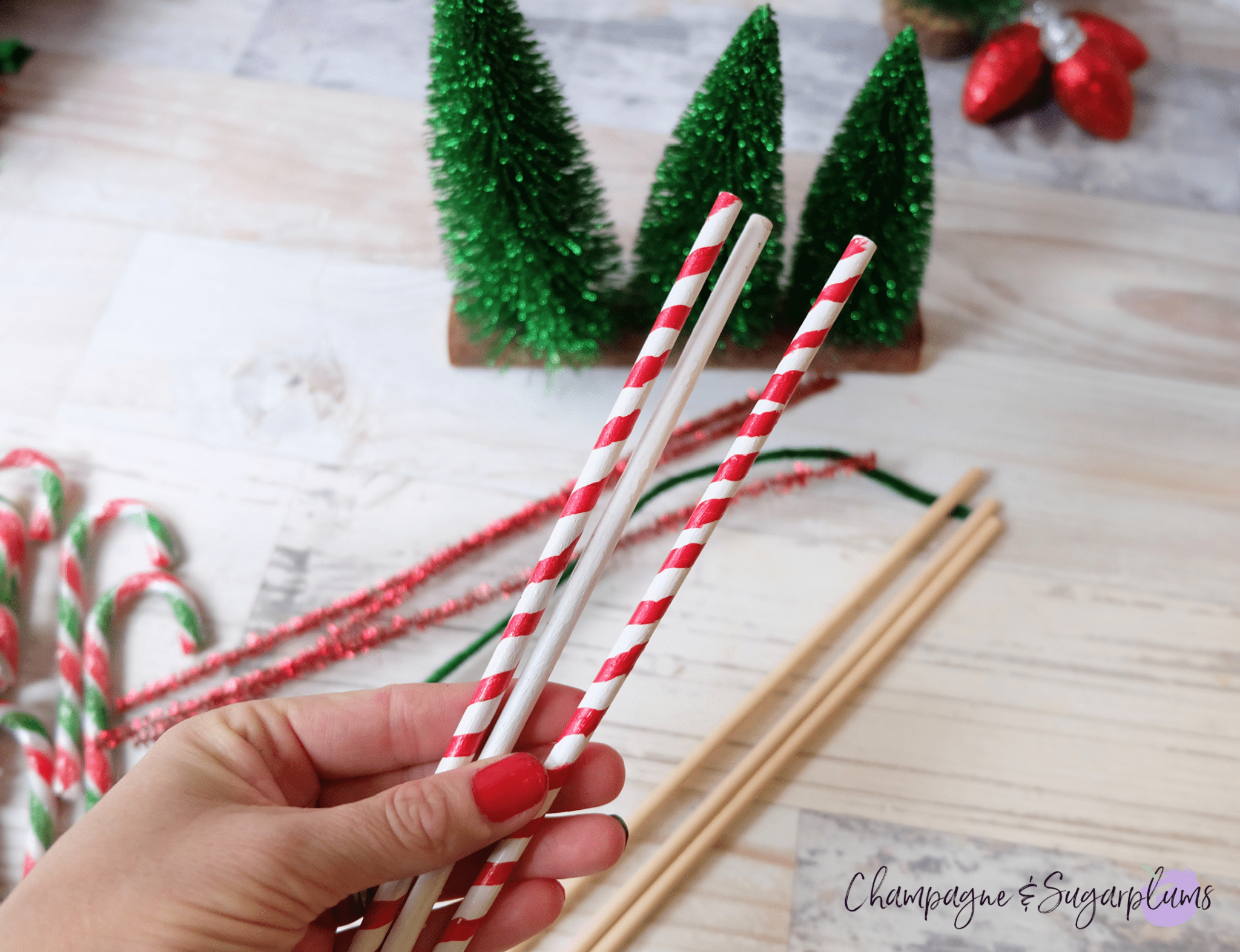 Easy DIY Candy Cane Holder! - Champagne and Sugarplums