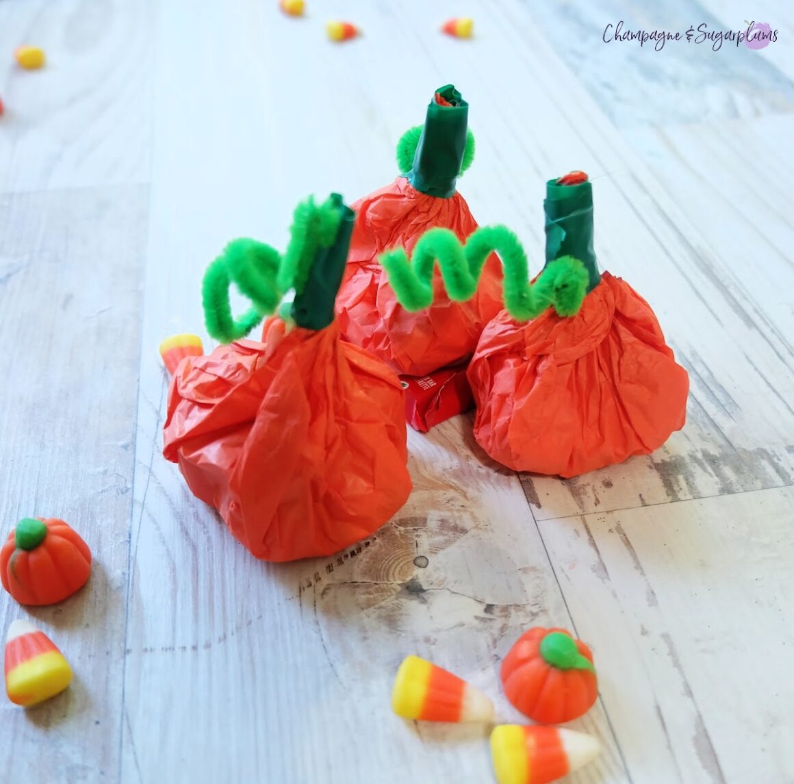 Tissue Paper Pumpkin {Goodie Bag Idea} - Champagne and Sugarplums