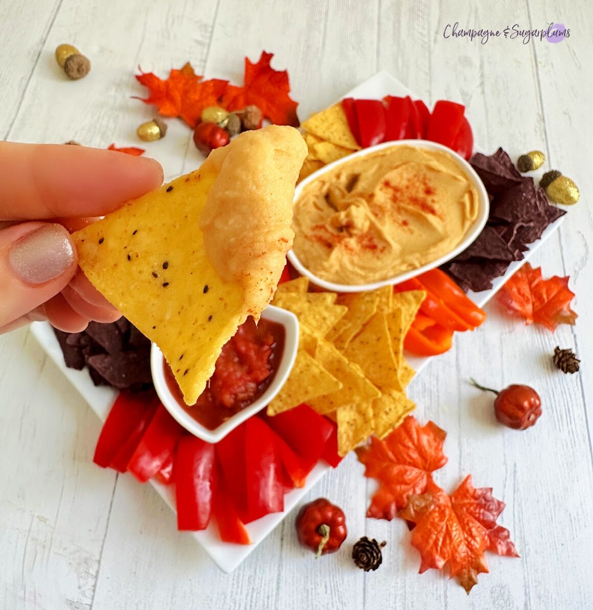 Spiced Hummus Dip - Champagne and Sugarplums